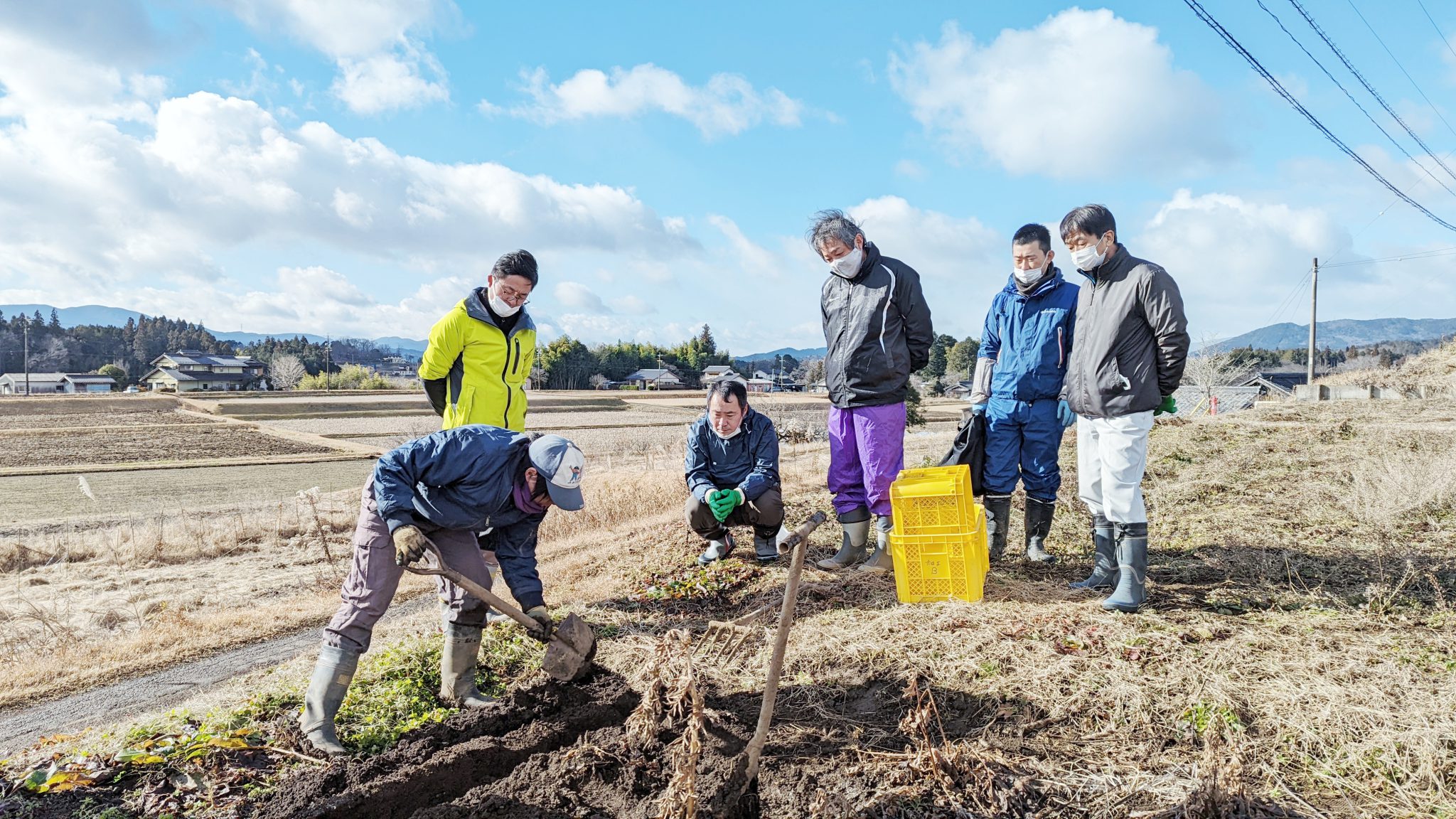 project | Koike lab.